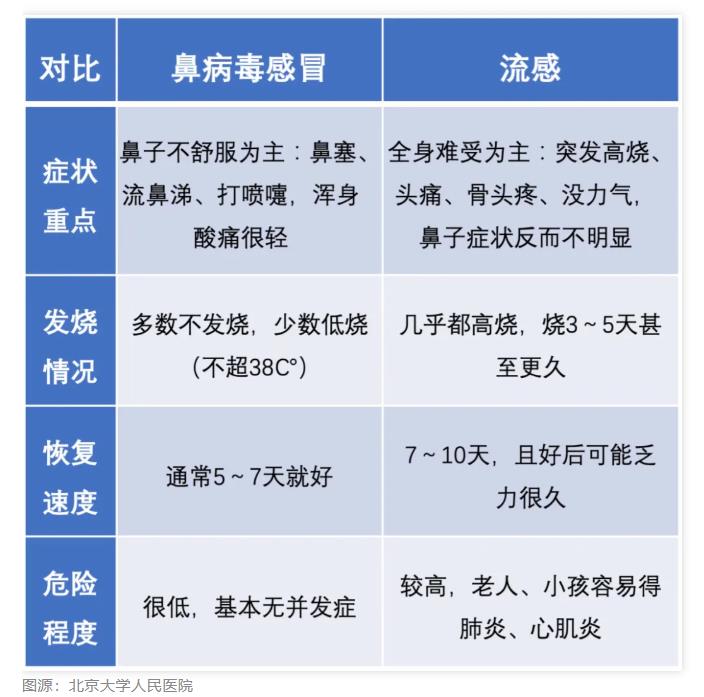 Python Script: CSV to JSON Conversion with Error Handling & Encoding - memesita.com - Memesita